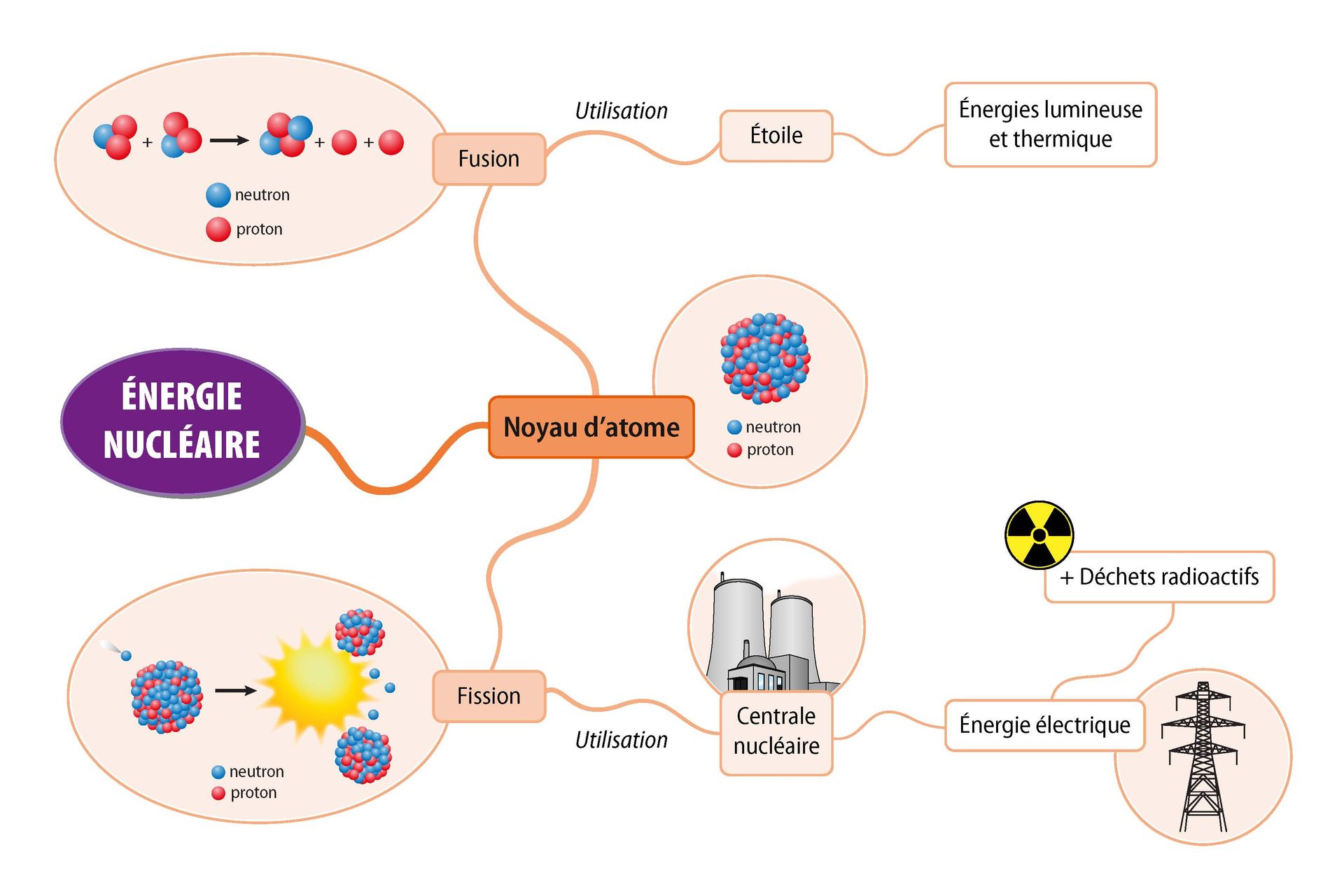 CE1D Sciences | Synthèses