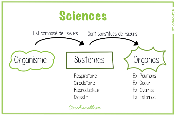 CE1D Sciences | Synthèses
