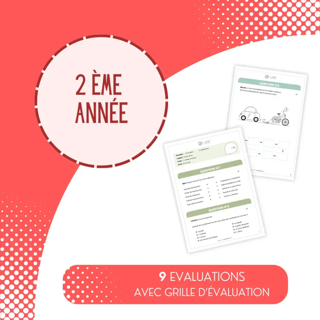 Pack de 9 évaluations - 2e année commune | CE1D Sciences